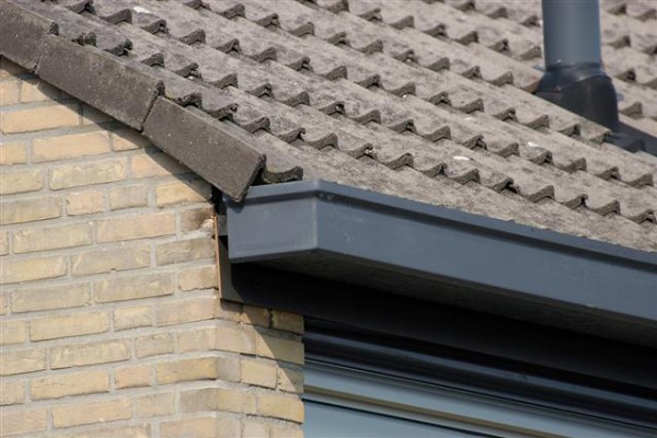 Dakgoten - DK Polyester